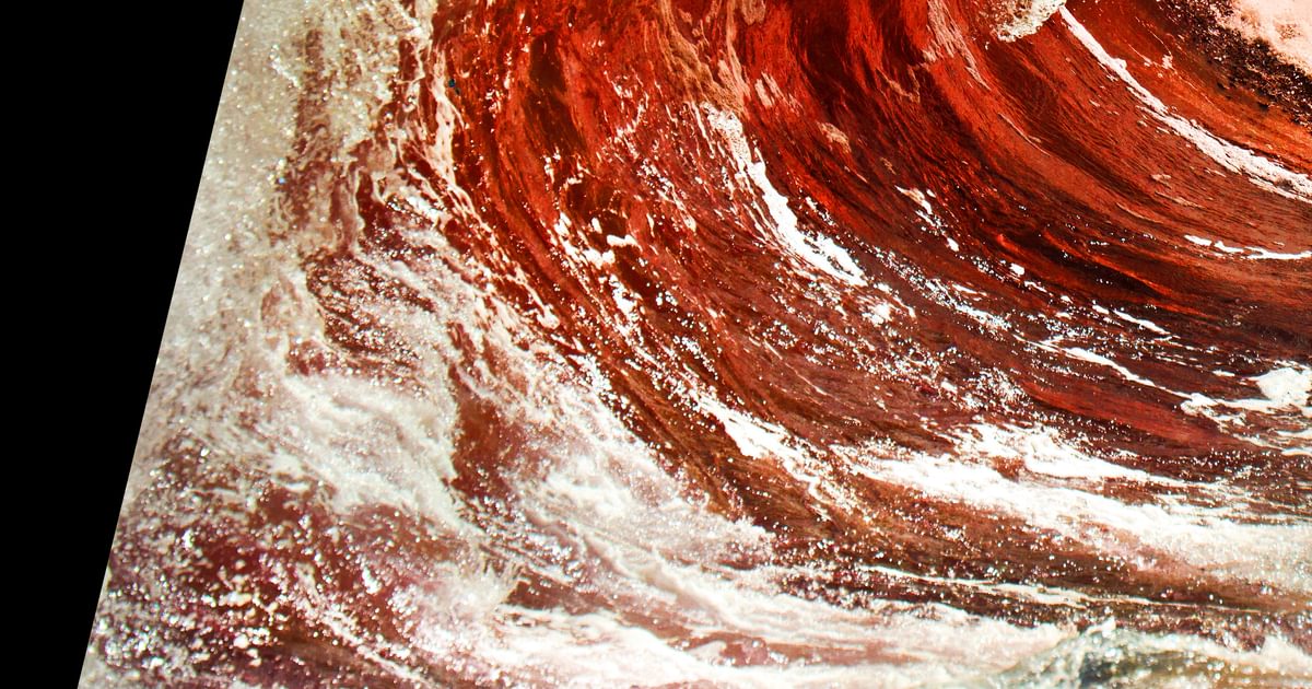 David Forbes - Sail | Armada Music